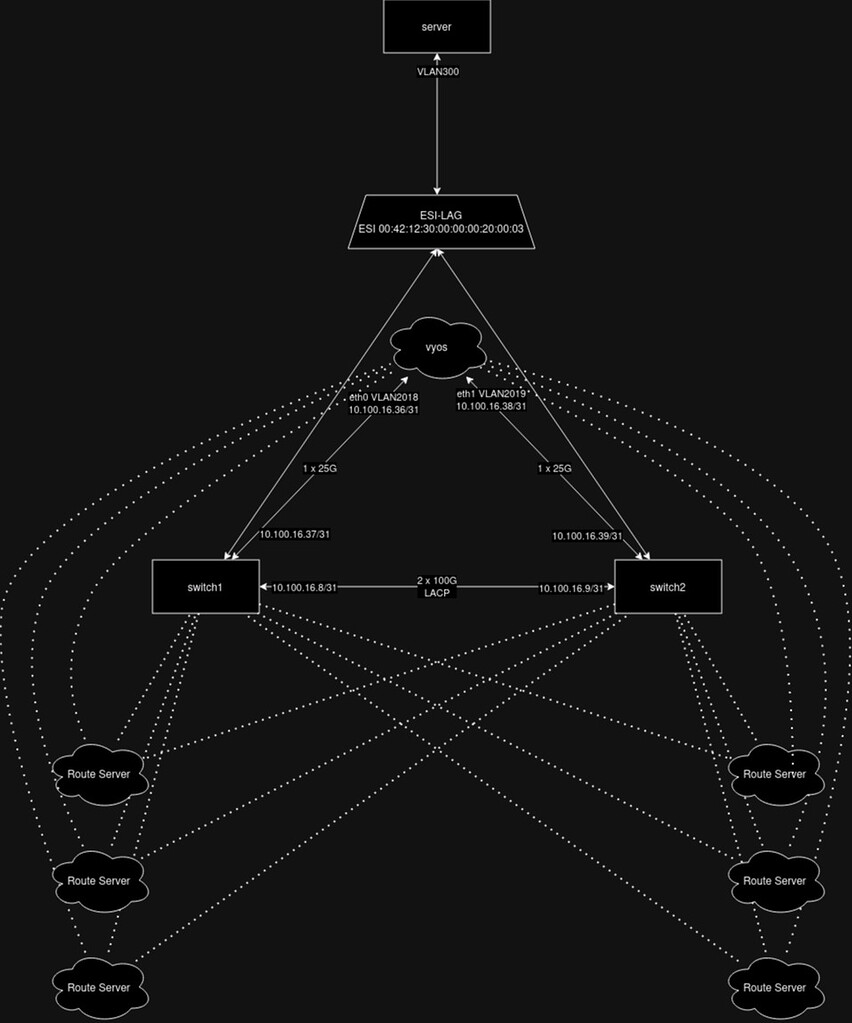 EVPN-VXLAN + ESI-LAG Duplicate Packets - Bugs - VyOS Forums