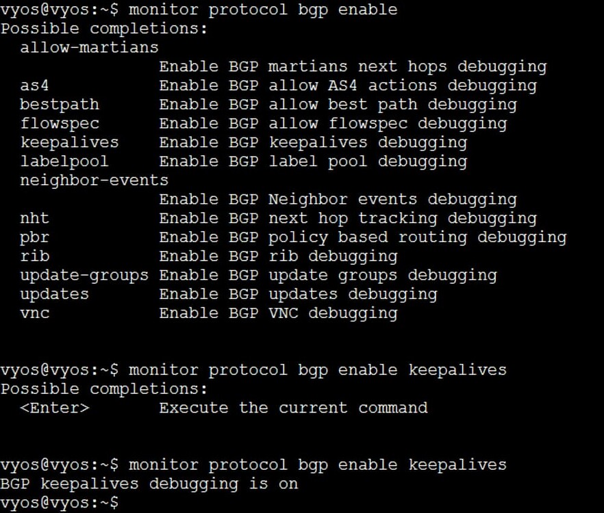 How to keep monitoring the BGP log? - General questions - VyOS Forums